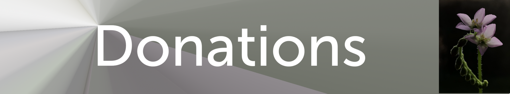 ITMIG - International Thymic Malignancy Interest Group